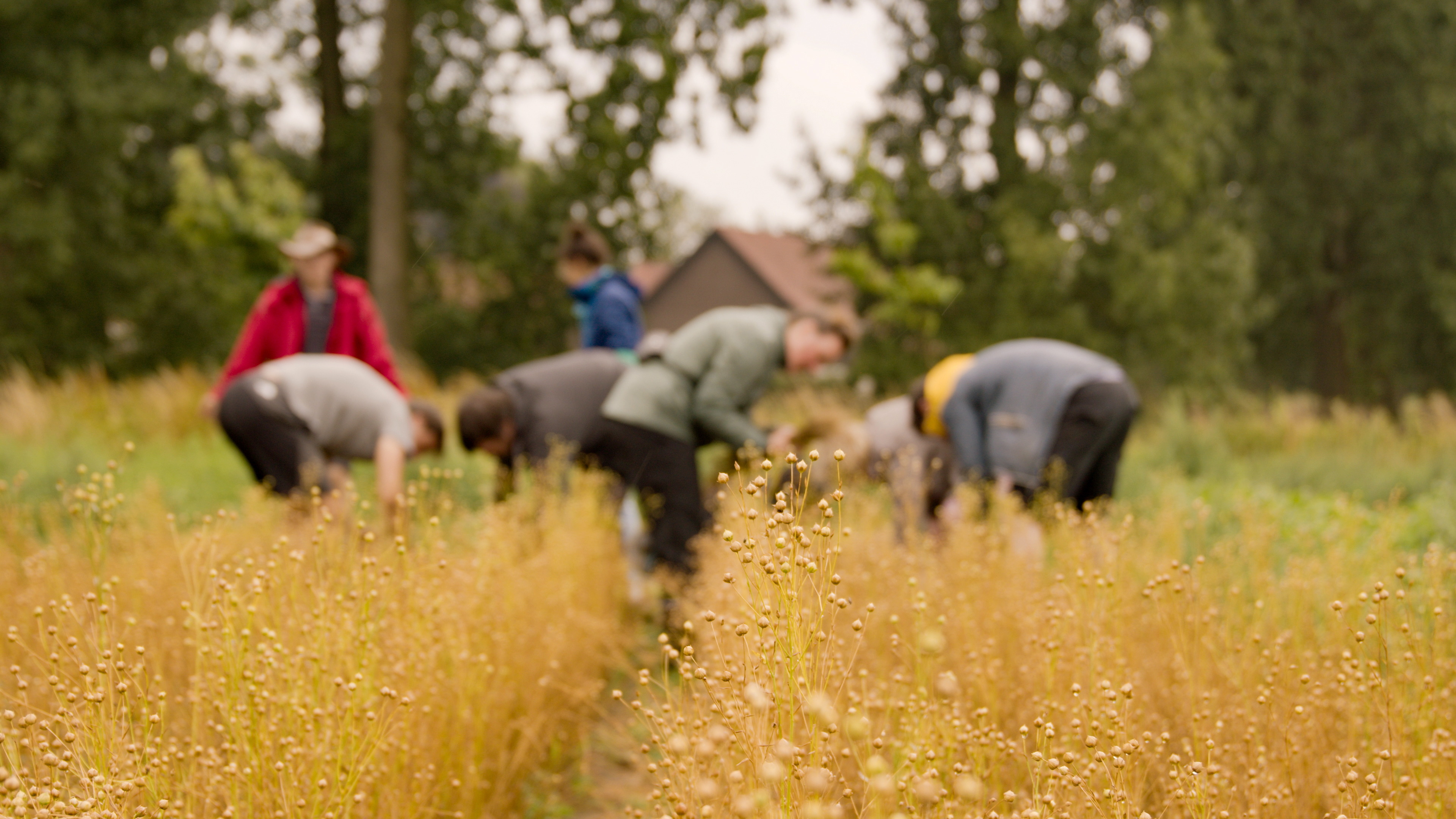 Call: Word linen steward | Kunstenpunt